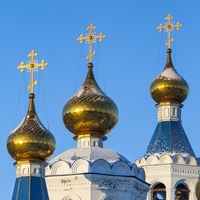 СОН СМЕШНОГО ЧЕЛОВЕКА.: nikanatol — LiveJournal